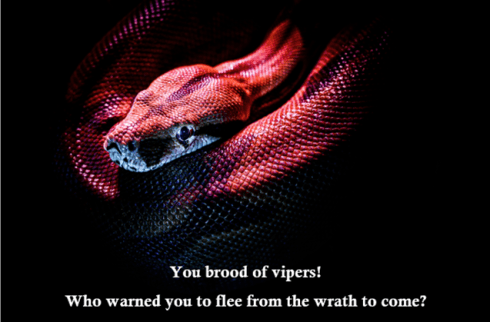 Brood of Vipers | TIME in the Word Ministries